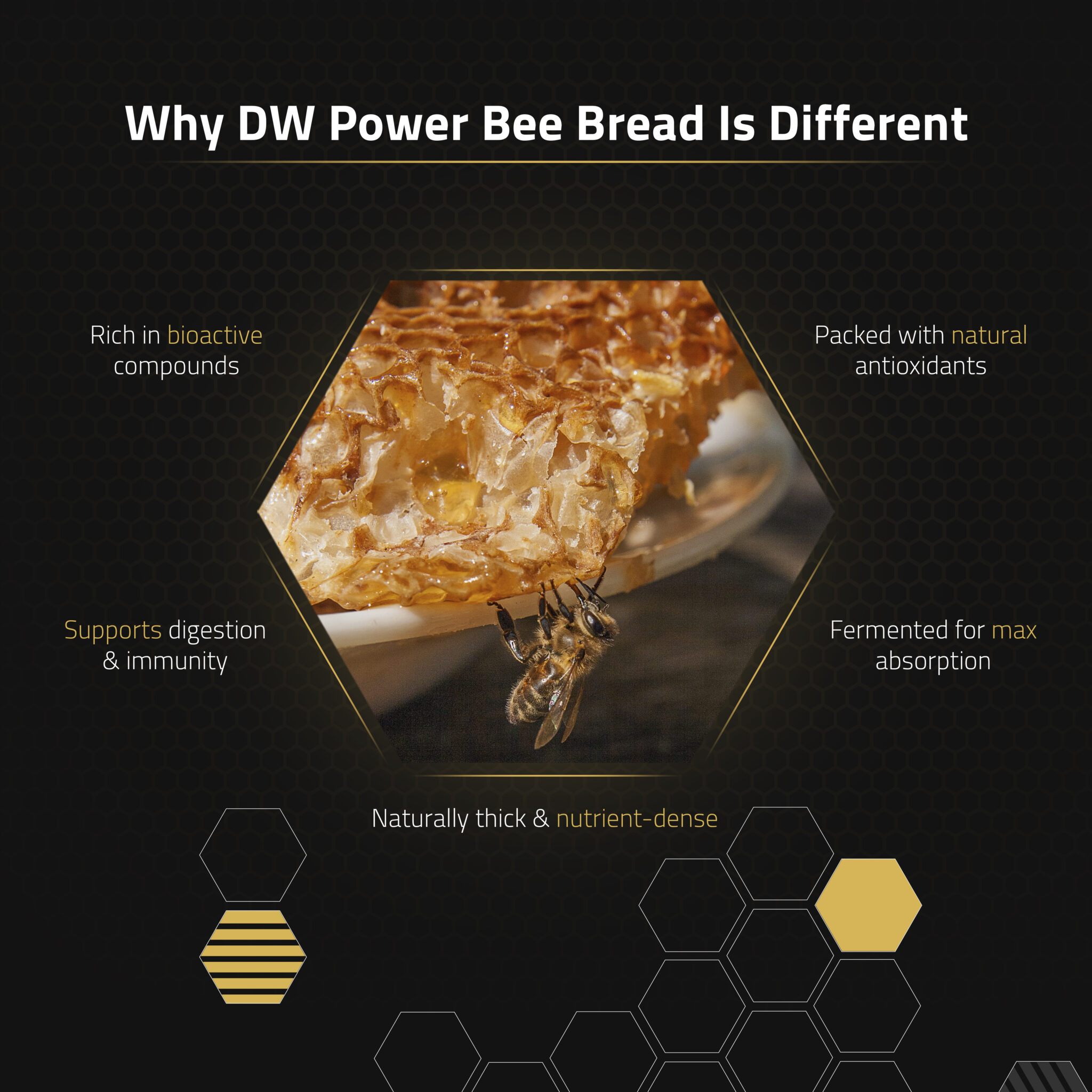 Bee Bread – Natural Superfood from Germany